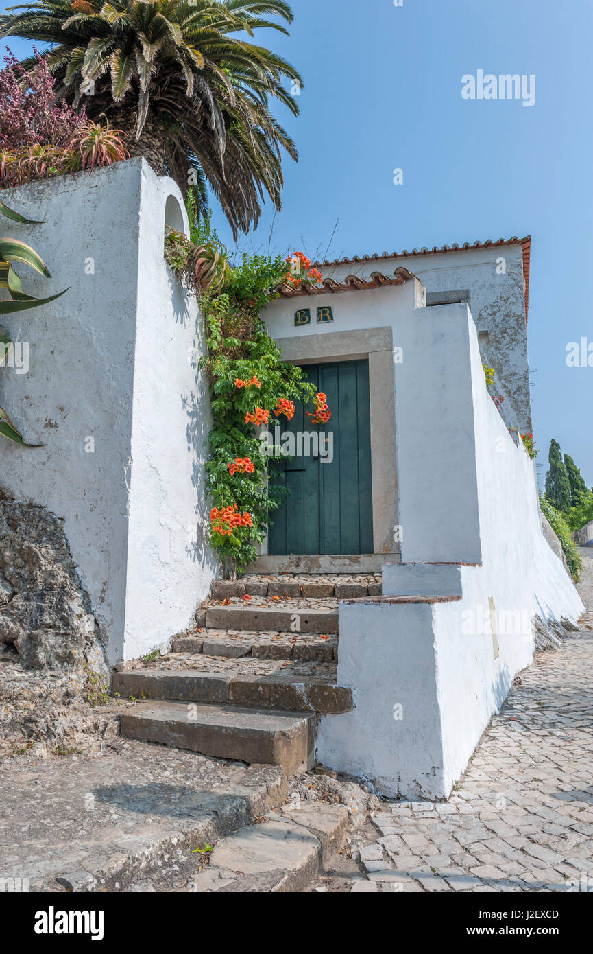 Europe, Portugal, Obidos, trumpet creeper by front door of house Stock ...