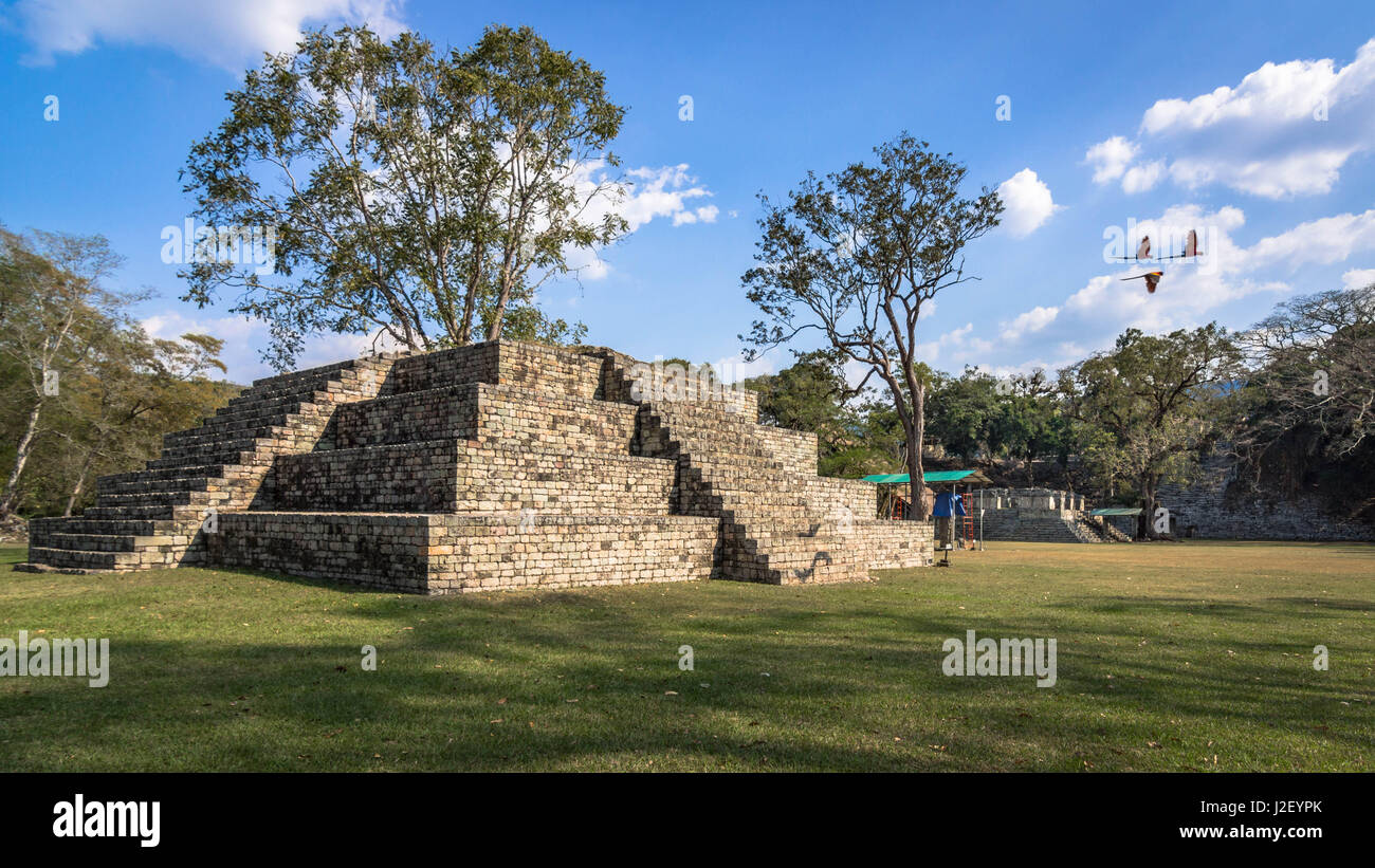 The Great Plaza of Copán Ruinas with Structure (Temple) 4 in the ...