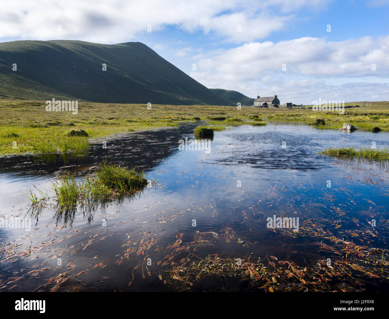 Foula Stock Photos & Foula Stock Images - Alamy
