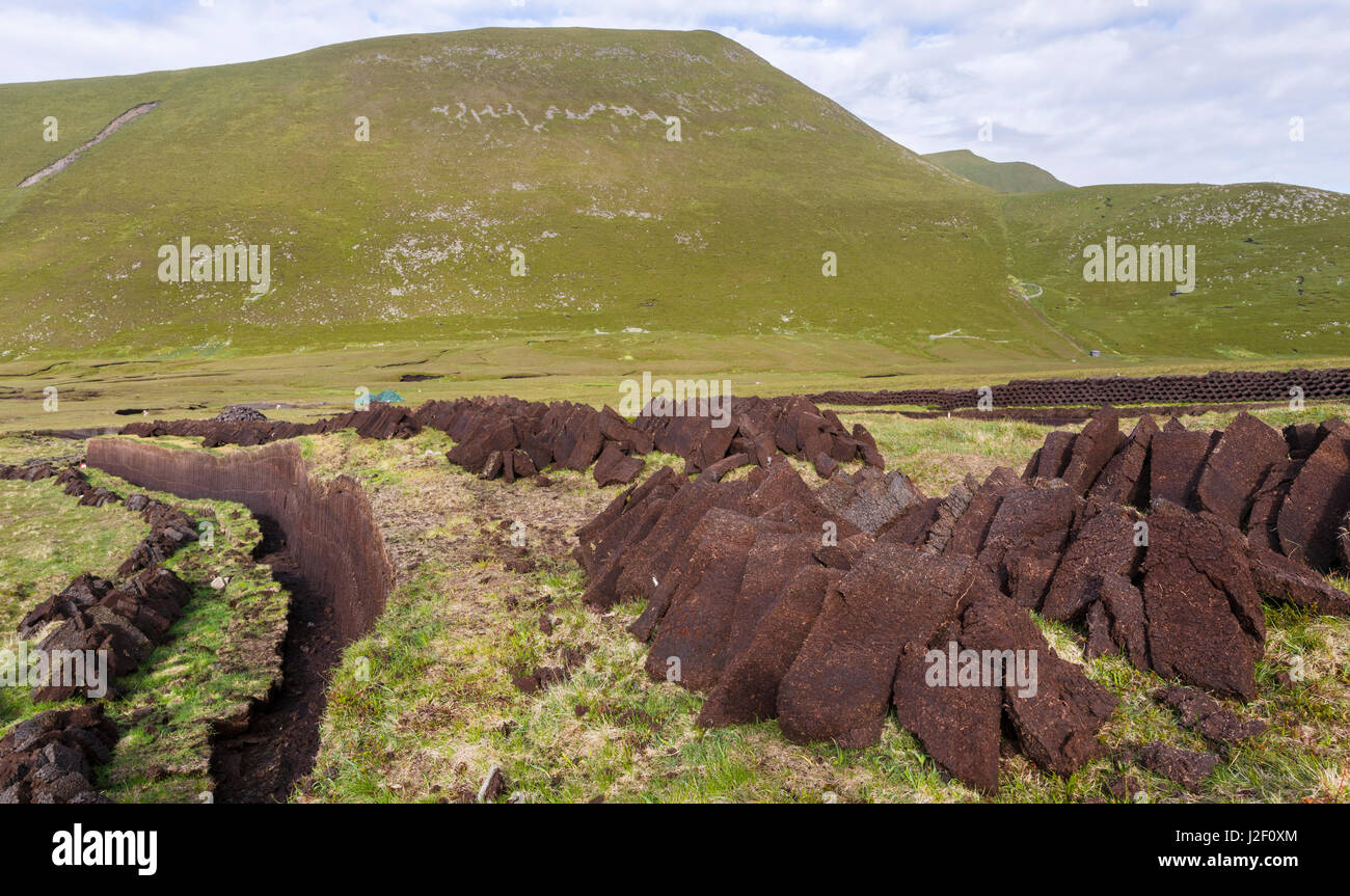 Foula part of the Shetland Islands, it is one of the most remote ...