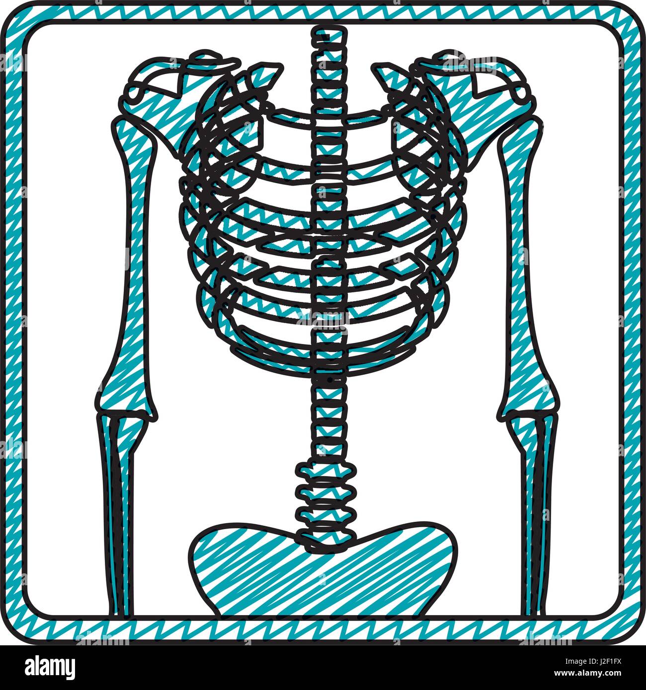 color pencil drawing of symbol of chest radiography Stock Vector Image ...