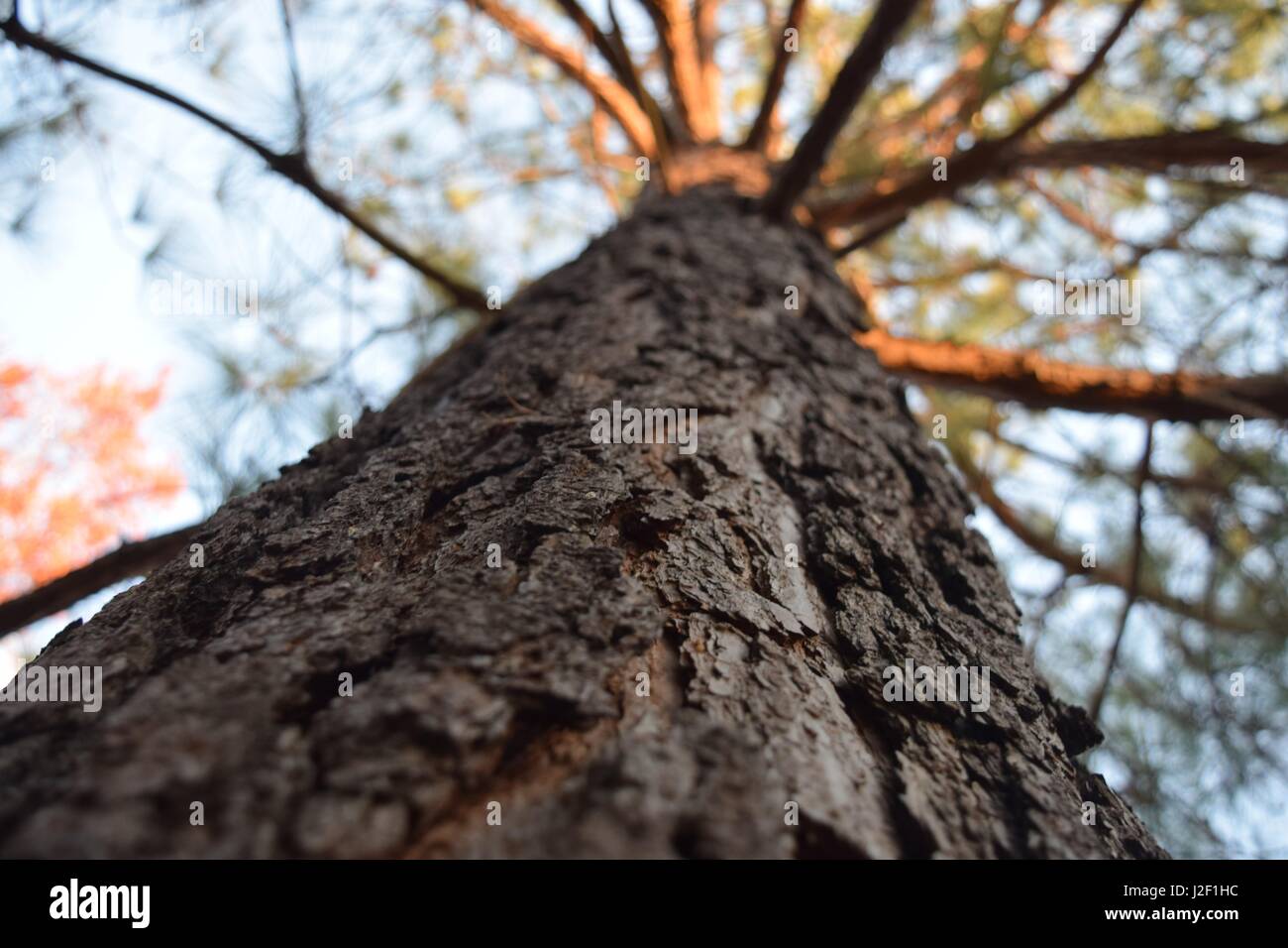 Different perspective hi-res stock photography and images - Alamy
