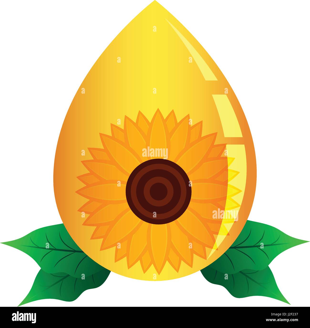 sunflower oil, flower, seed sunflower concept. vector illustration ...