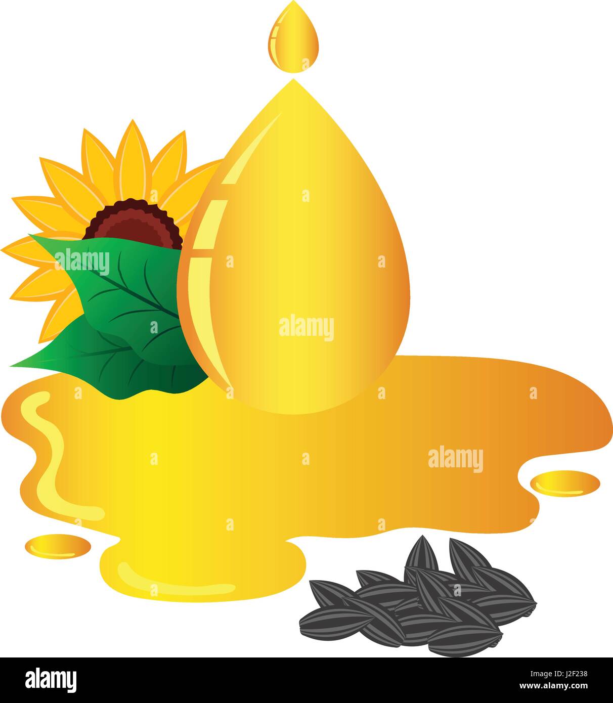 sunflower oil, flower, seed sunflower concept. vector illustration ...
