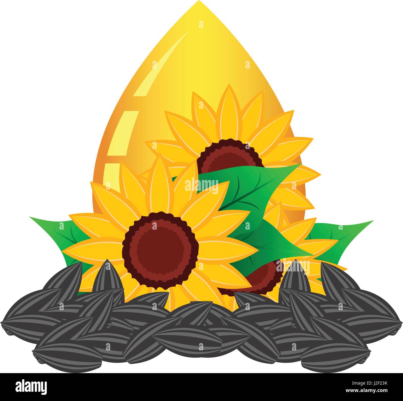 sunflower oil, flower, seed sunflower concept. vector illustration ...