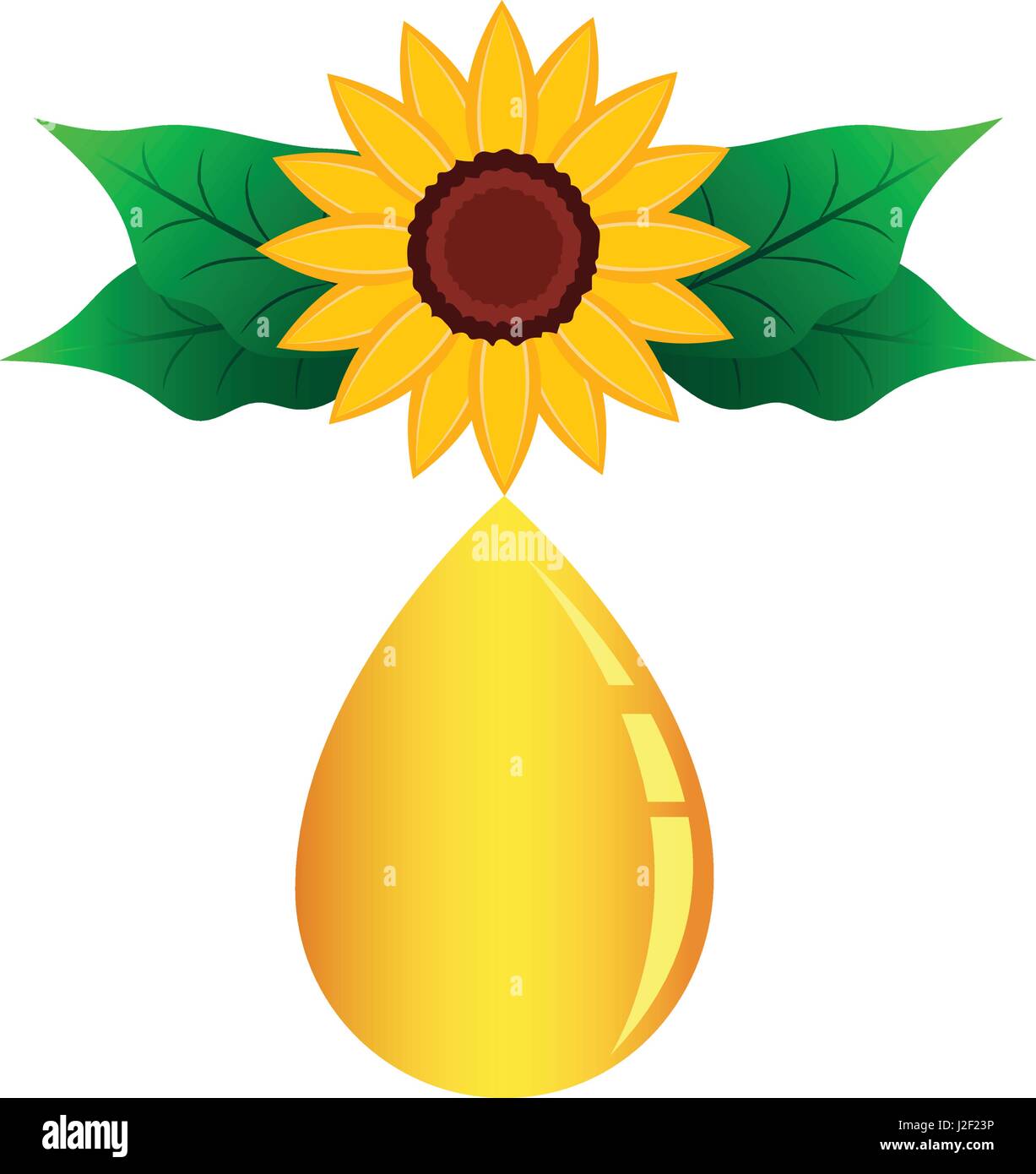 sunflower oil, flower, seed sunflower concept. vector illustration ...