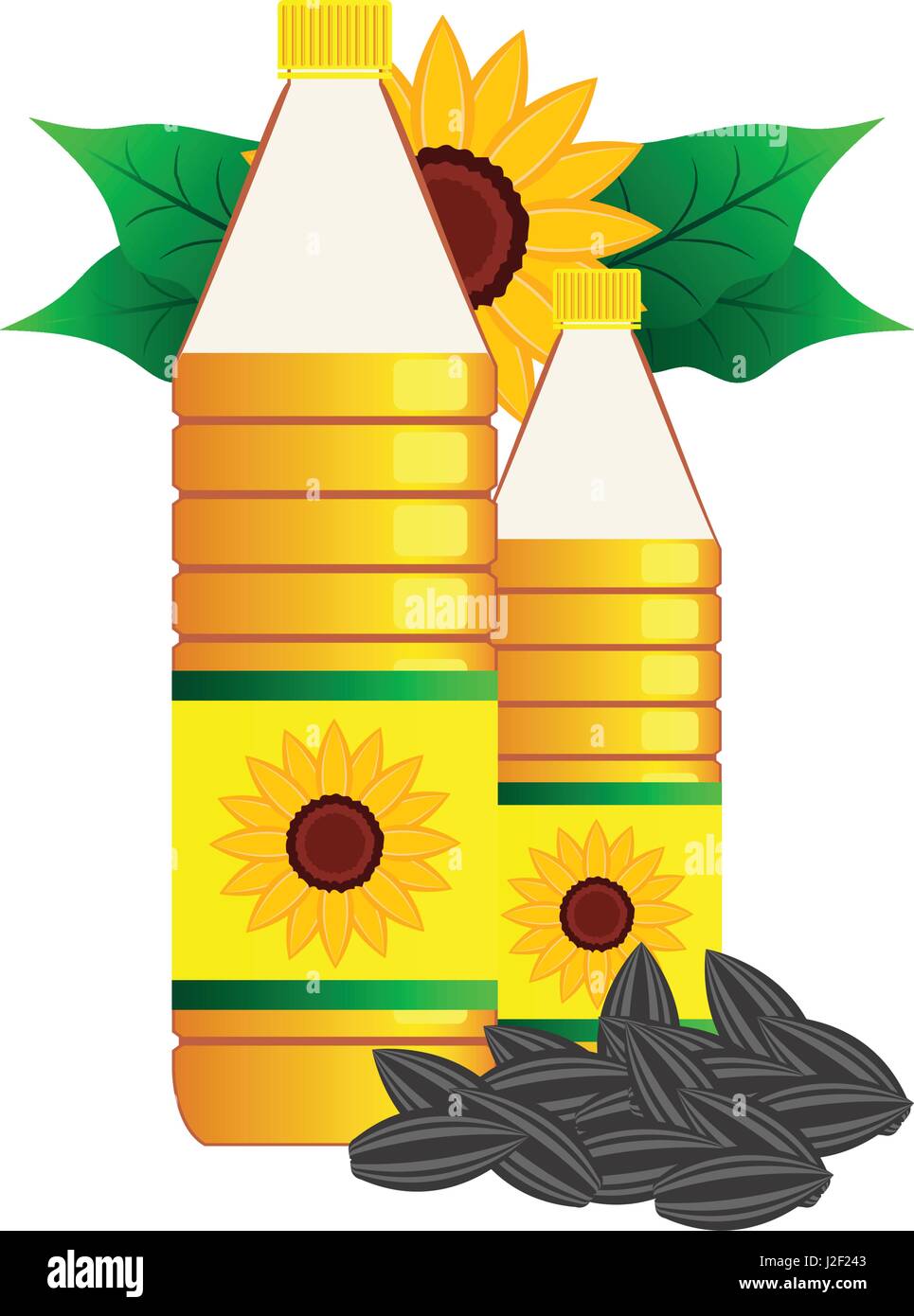 sunflower oil, flower, seed sunflower concept. vector illustration ...