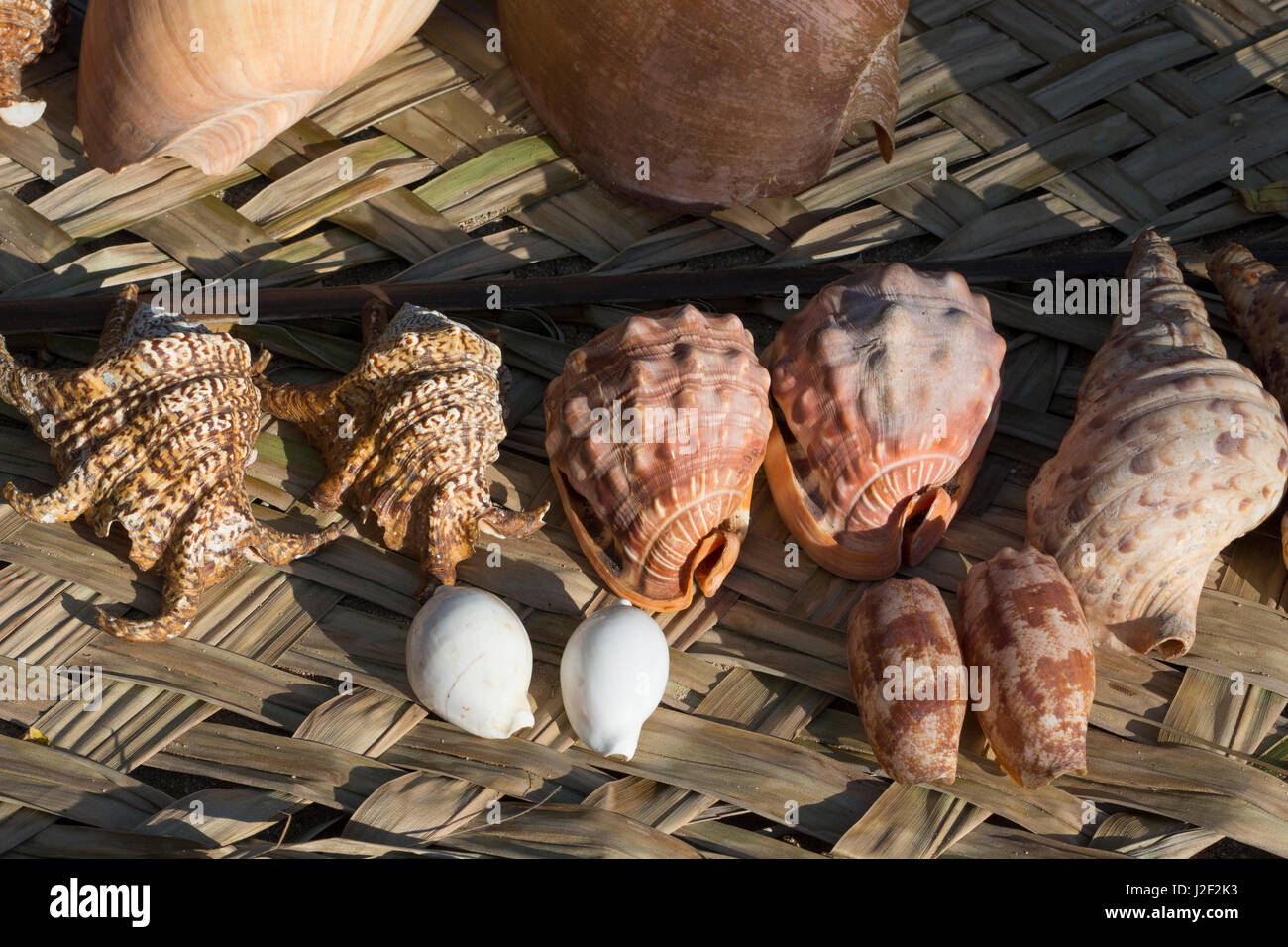 Melanesia, Papua New Guinea, Bismarck Sea area, Tuam Island, Tuam ...