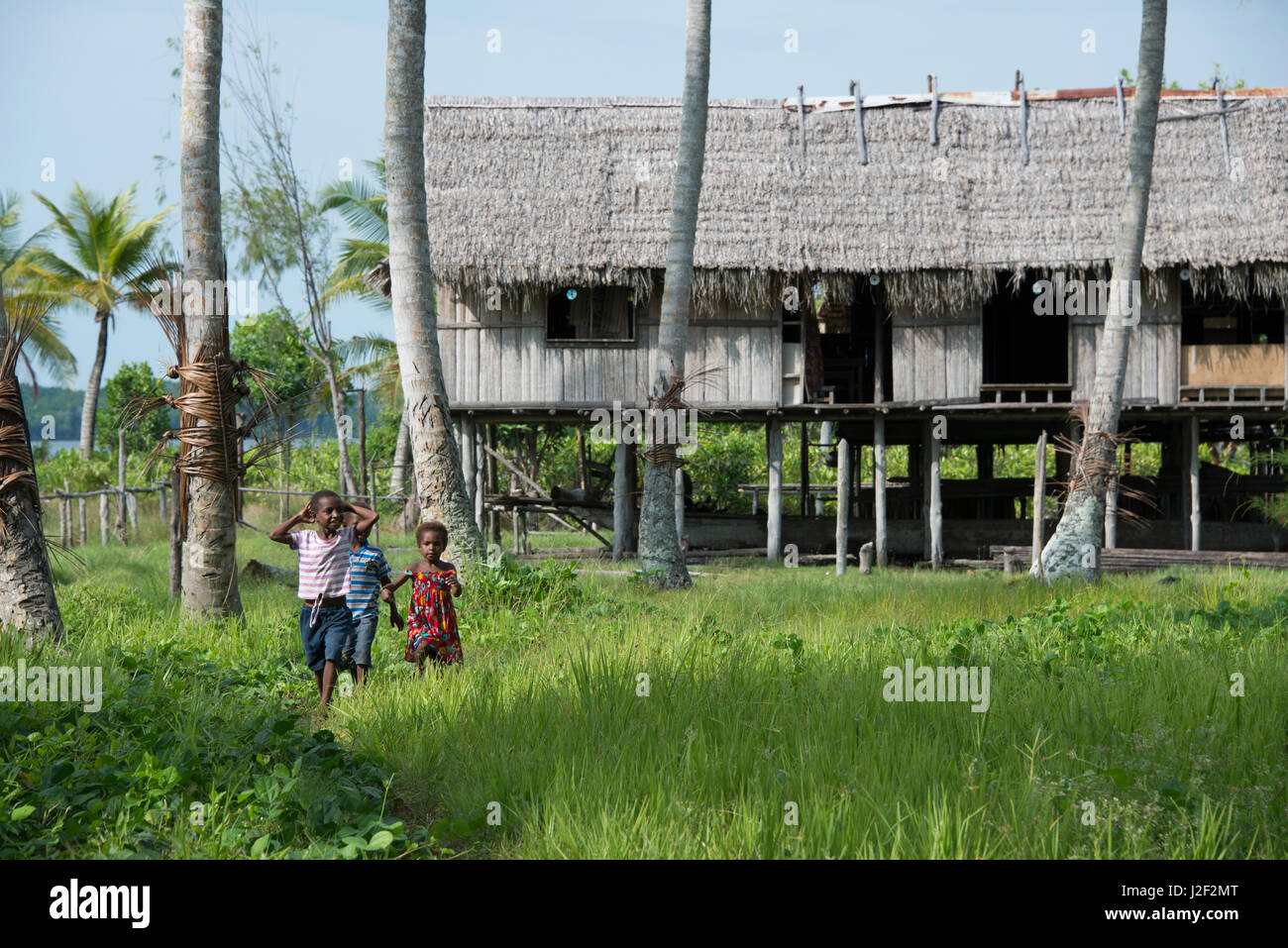 Melanesia, Papua New Guinea, Sepik River area, Murik Lakes, Karau ...