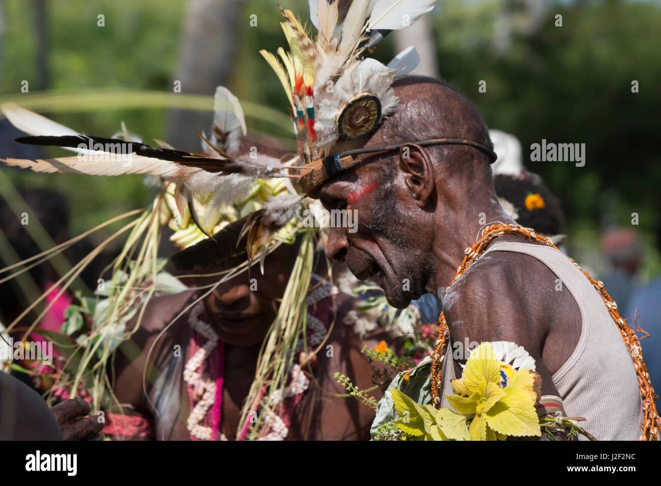 Melanesia, Papua New Guinea, Sepik River area, Murik Lakes, Karau ...