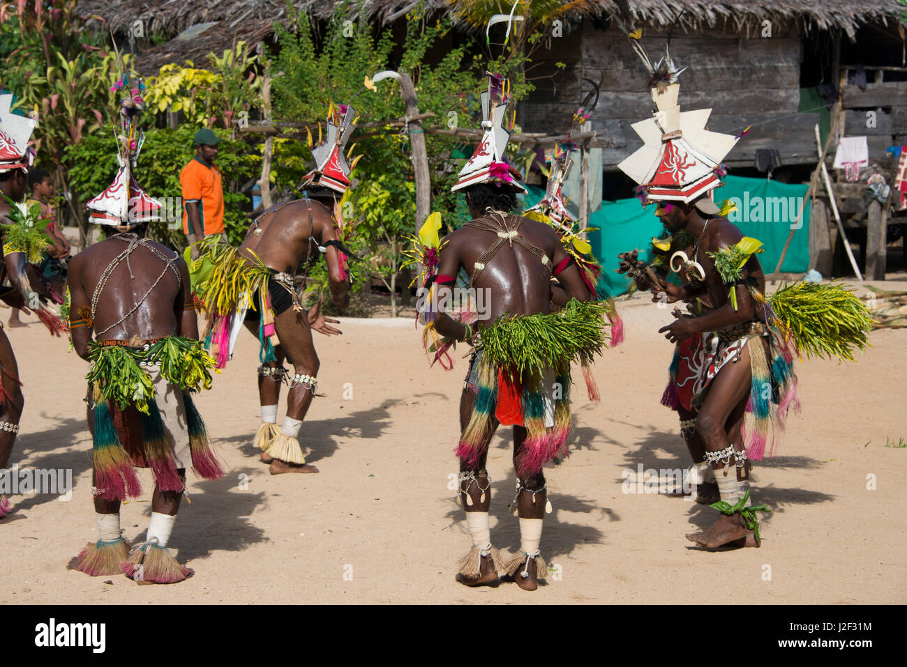 Melanesia, Papua New Guinea, Bismarck Sea area, Tuam Island, Tuam ...