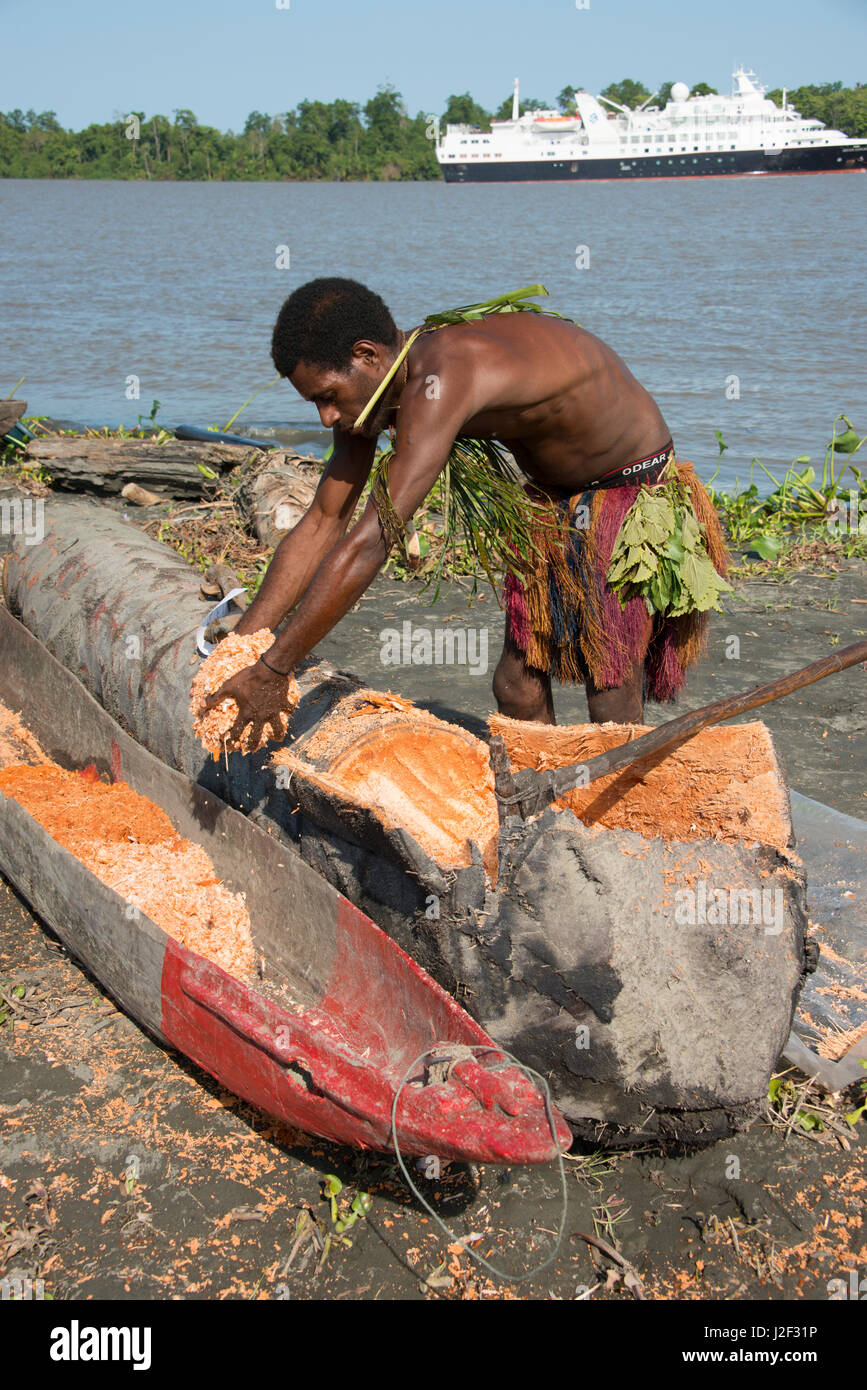 Sago palm papua new guinea hi-res stock photography and images - Alamy
