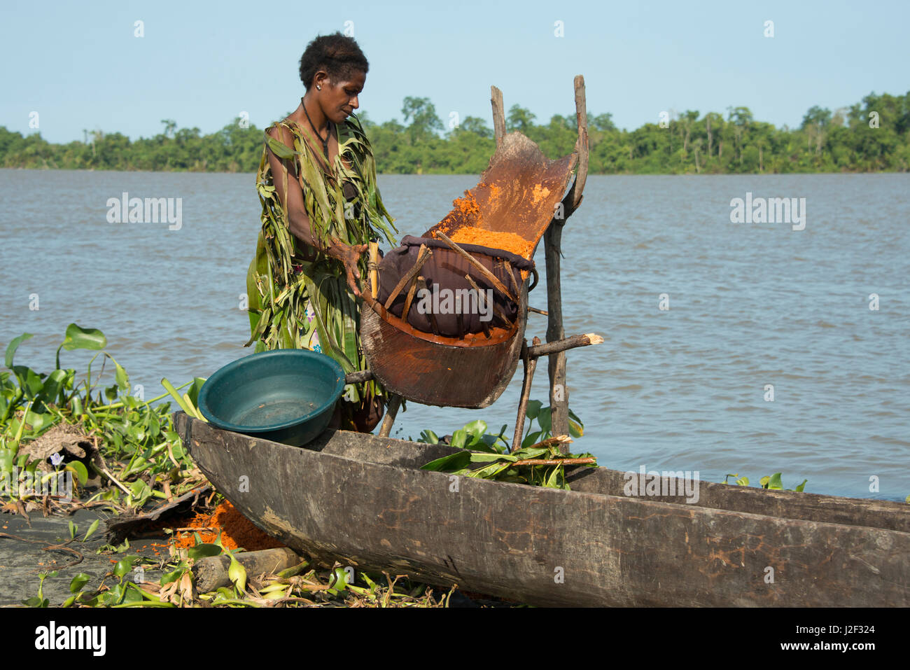 Sago palm papua new guinea hi-res stock photography and images - Alamy