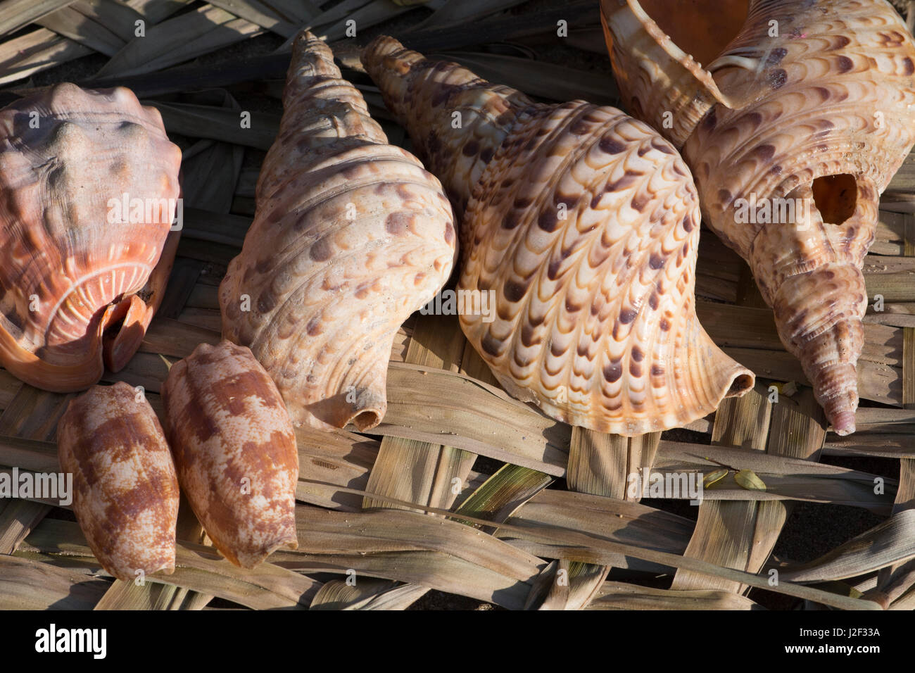 Melanesia, Papua New Guinea, Bismarck Sea area, Tuam Island, Tuam ...