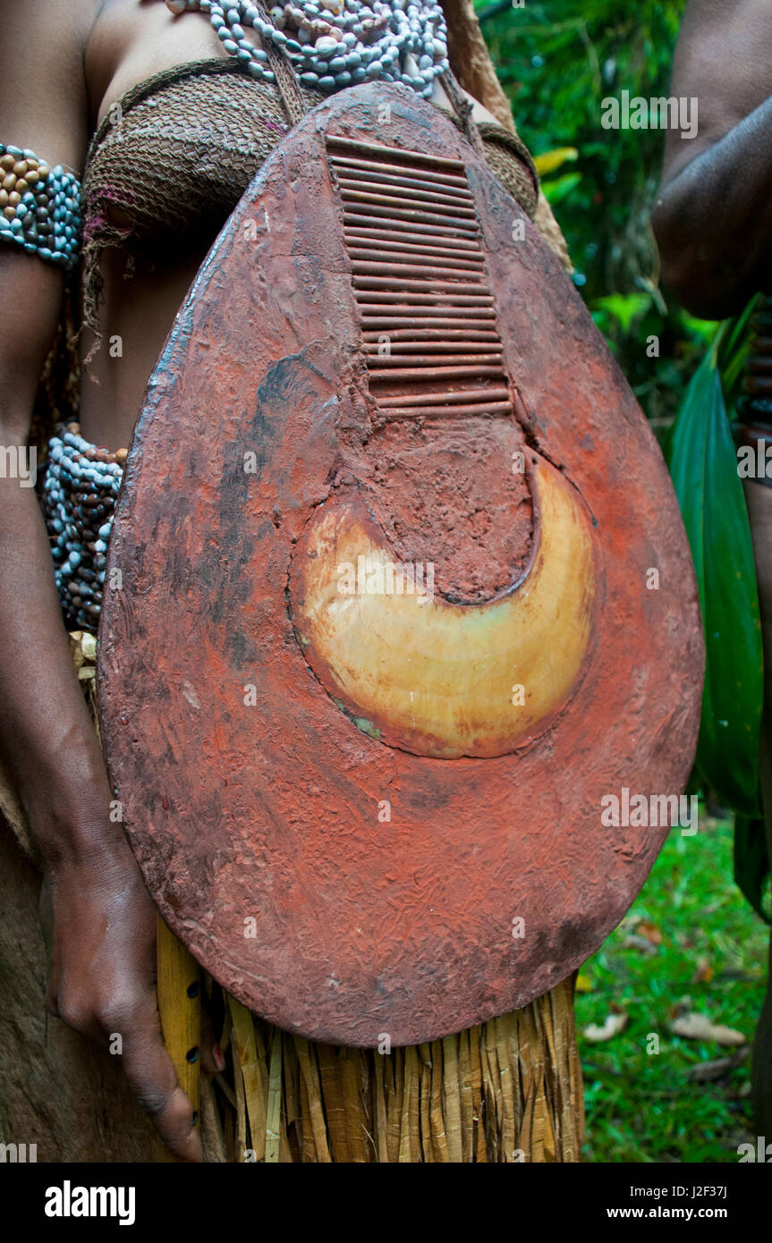 African Tribal Shields