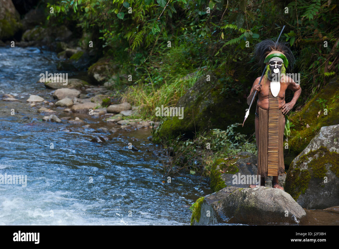 Colorfully dressed and painted local tribal chief in the Highlands of ...