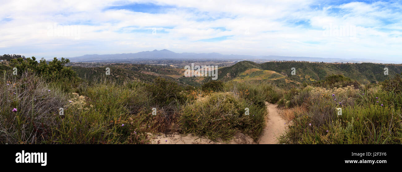 Aliso and Wood Canyons Wilderness Park hiking paths in Laguna Beach ...
