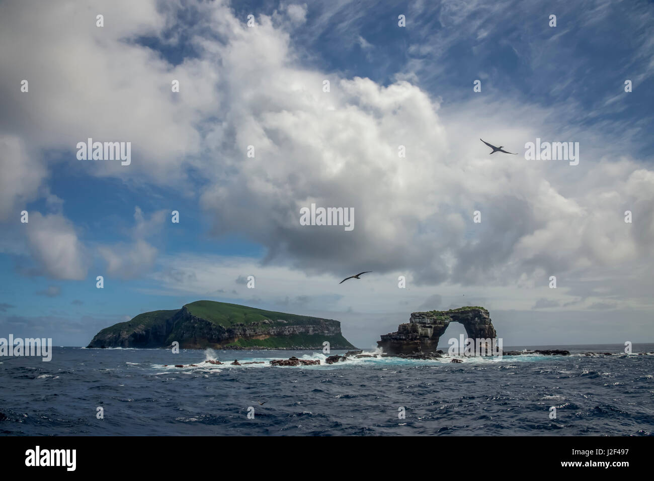 Ecuador, Galapagos Islands. Darwin Island and ocean landscape. Credit ...