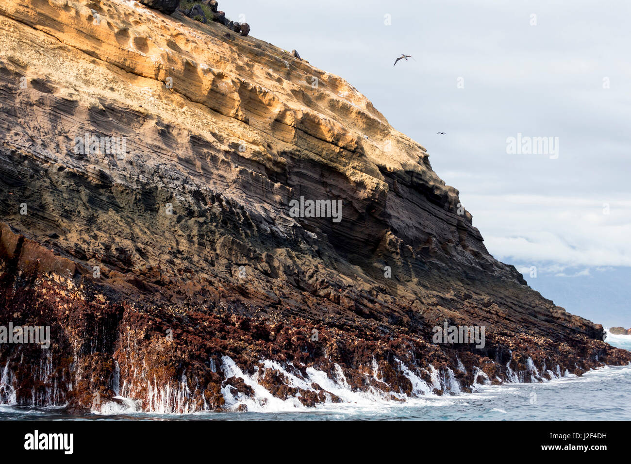 Ecuador, Galapagos Islands, Isabela, Punta Vicente Roca. Rocky cliffs ...