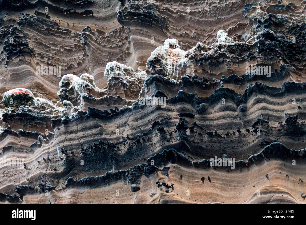 Ecuador, Galapagos Islands, Isabela, Punta Vicente Roca. Cliff faces ...