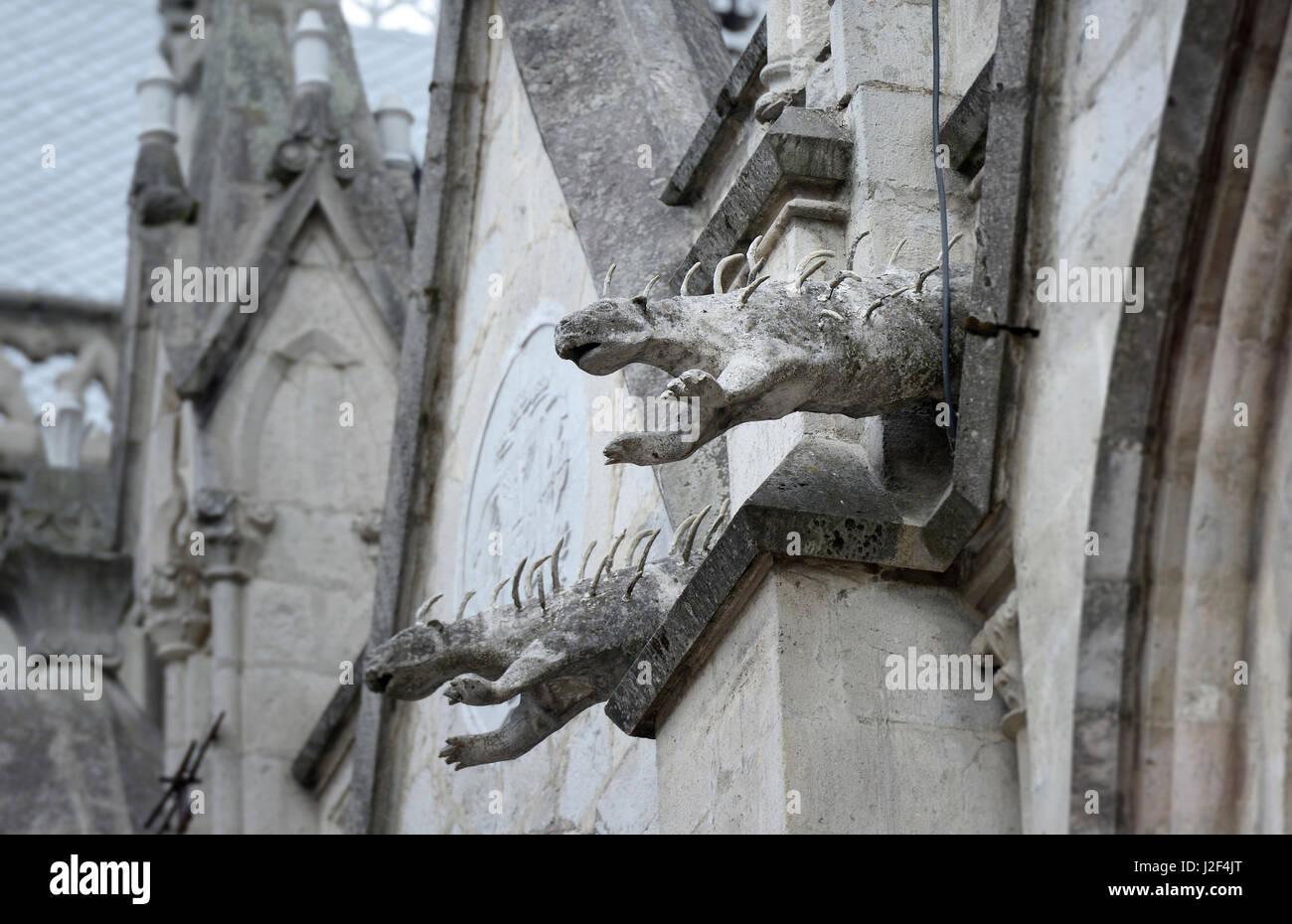 Ecuador, Pichincha, Quito. Animal gargoyles at the Basilica del Voto ...