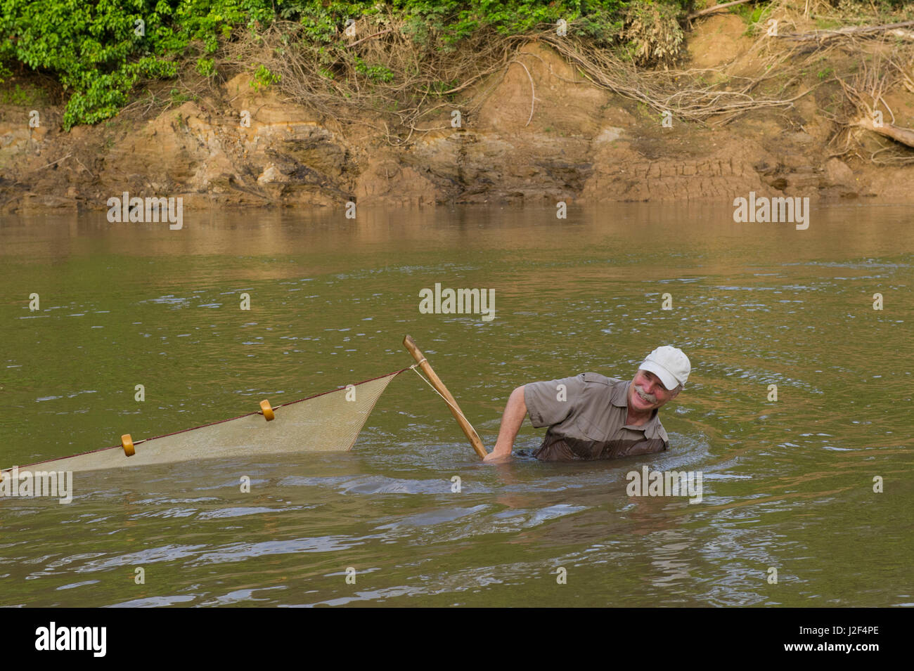 Dr Kelly Swing seine Net fishing for research, Tiputini River, Yasuni ...