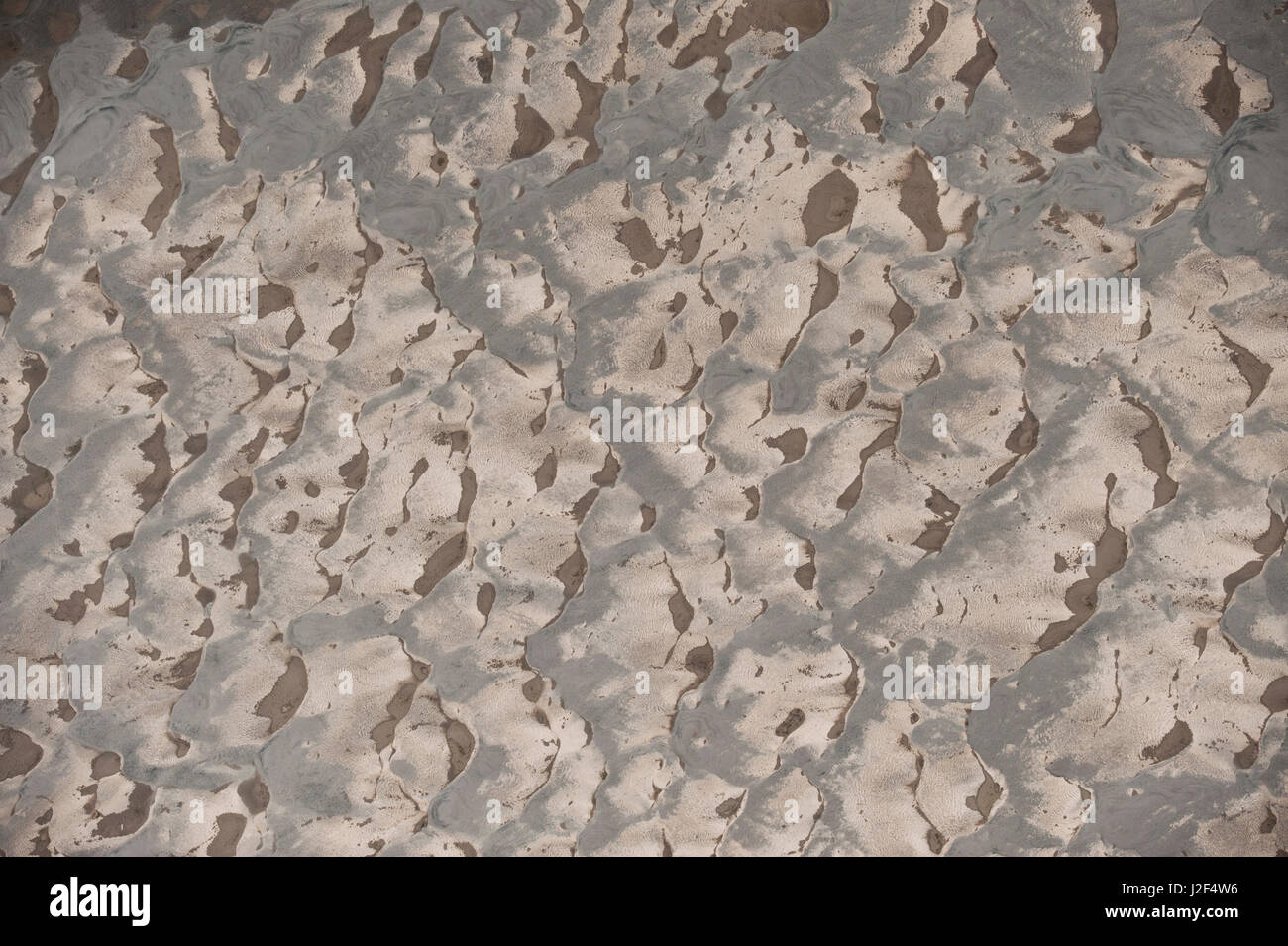 Sandbank in Napo River, Amazon Rainforest bordering Yasuni Biosphere ...