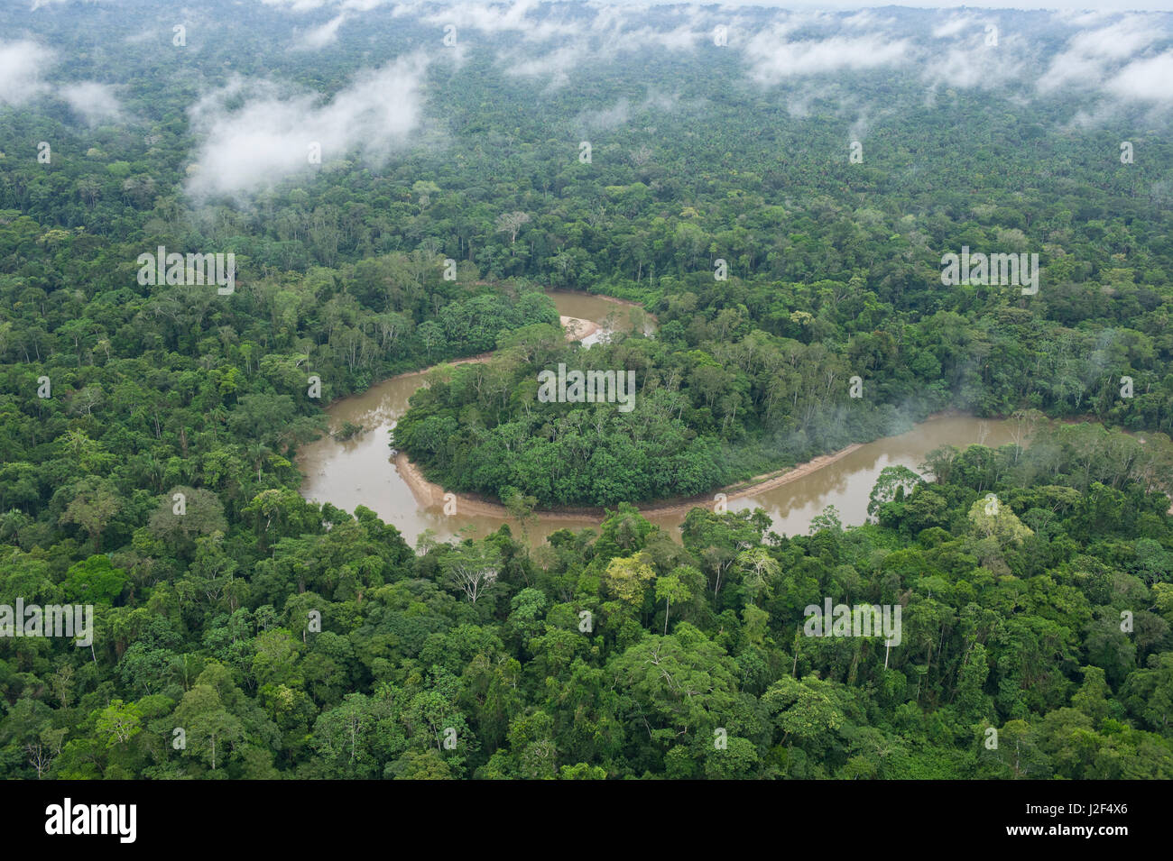 Tiputini River and Rainforest, Yasuni National Park, Amazon Rainforest ...