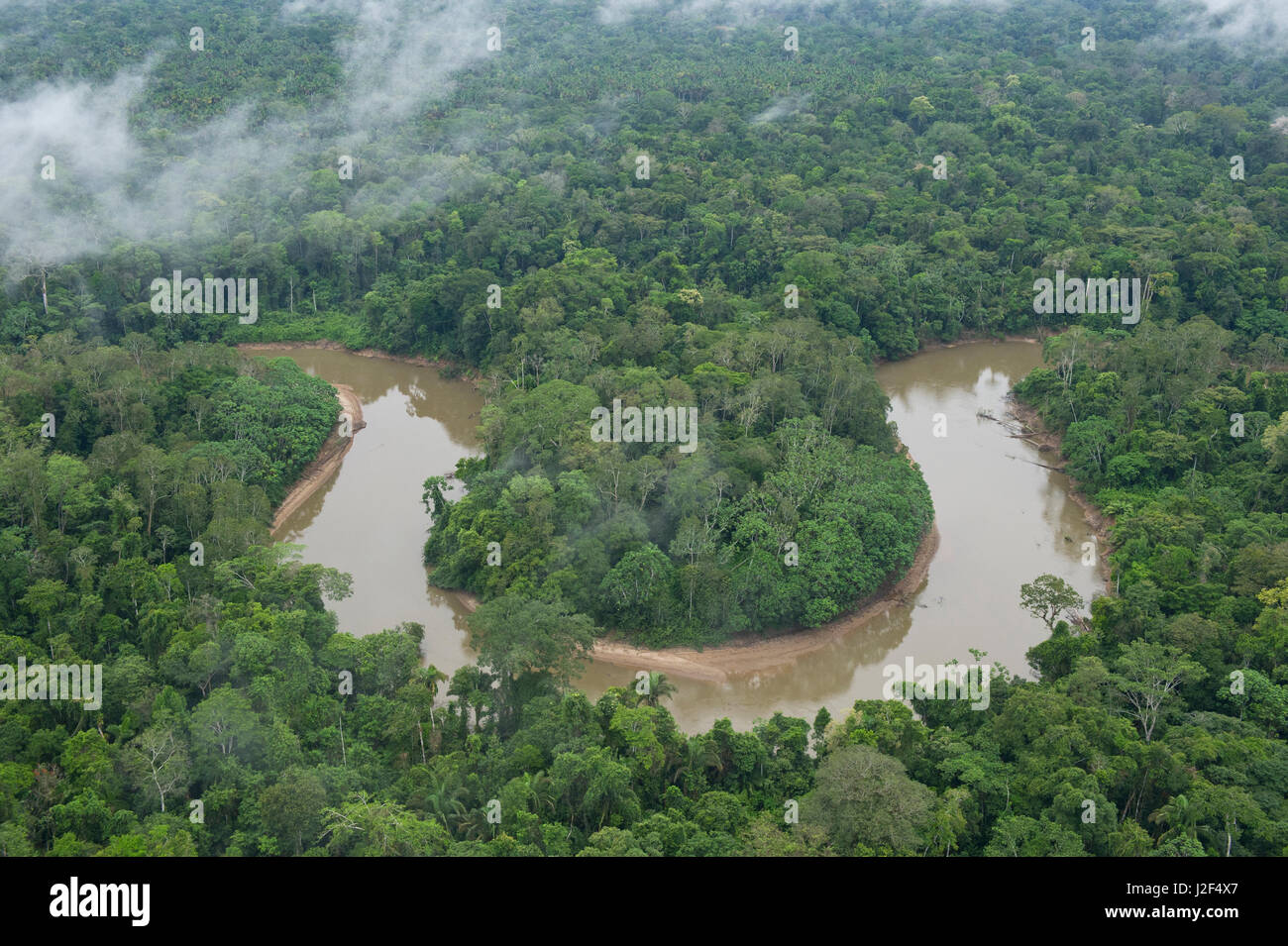 Tiputini River and Rainforest, Yasuni National Park, Amazon Rainforest ...