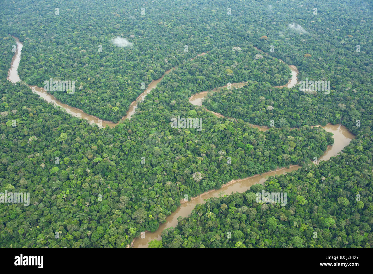Tiputini River and Rainforest, Yasuni National Park, Amazon Rainforest ...