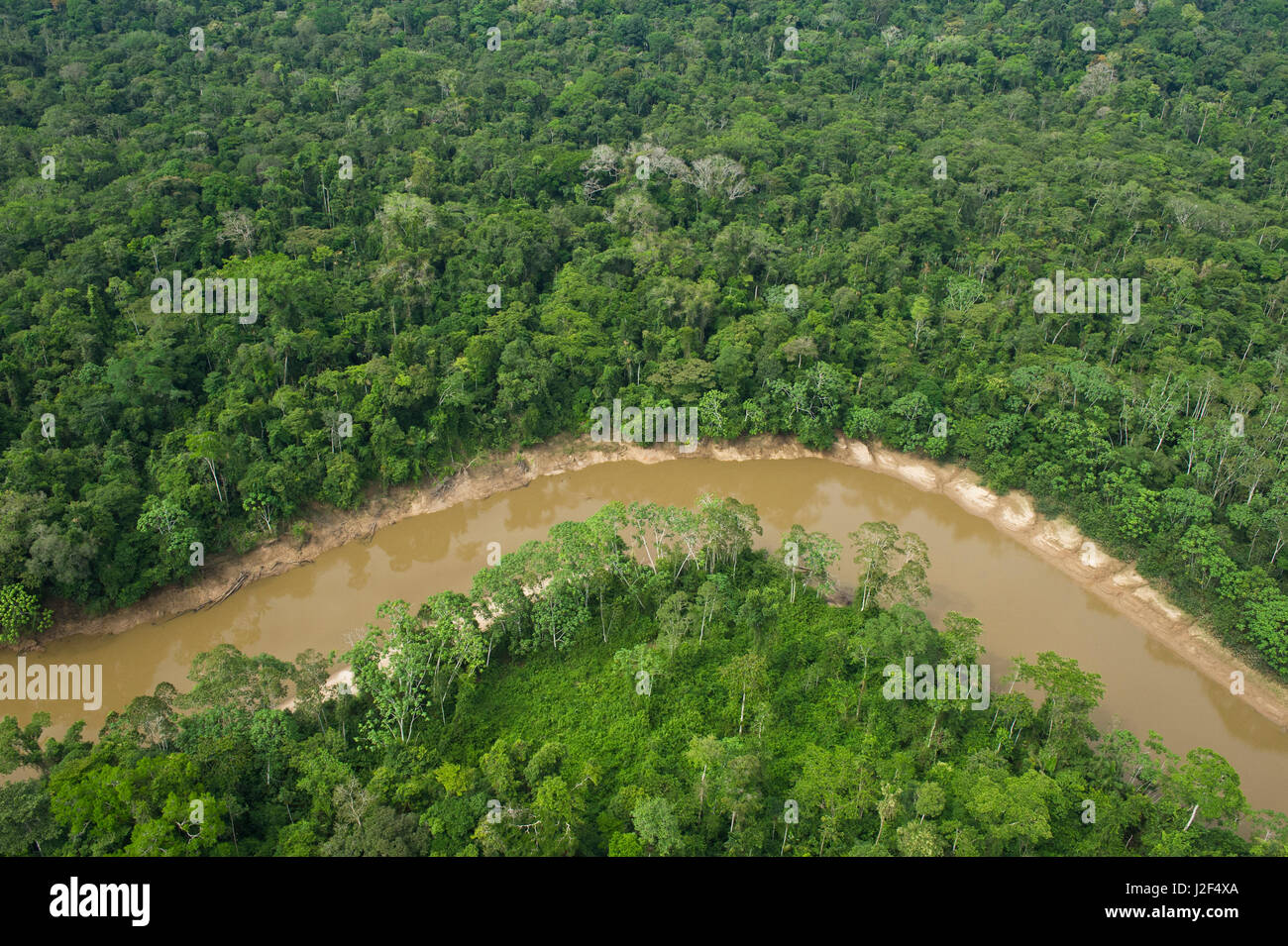 Tiputini River and Rainforest, Yasuni National Park, Amazon Rainforest ...