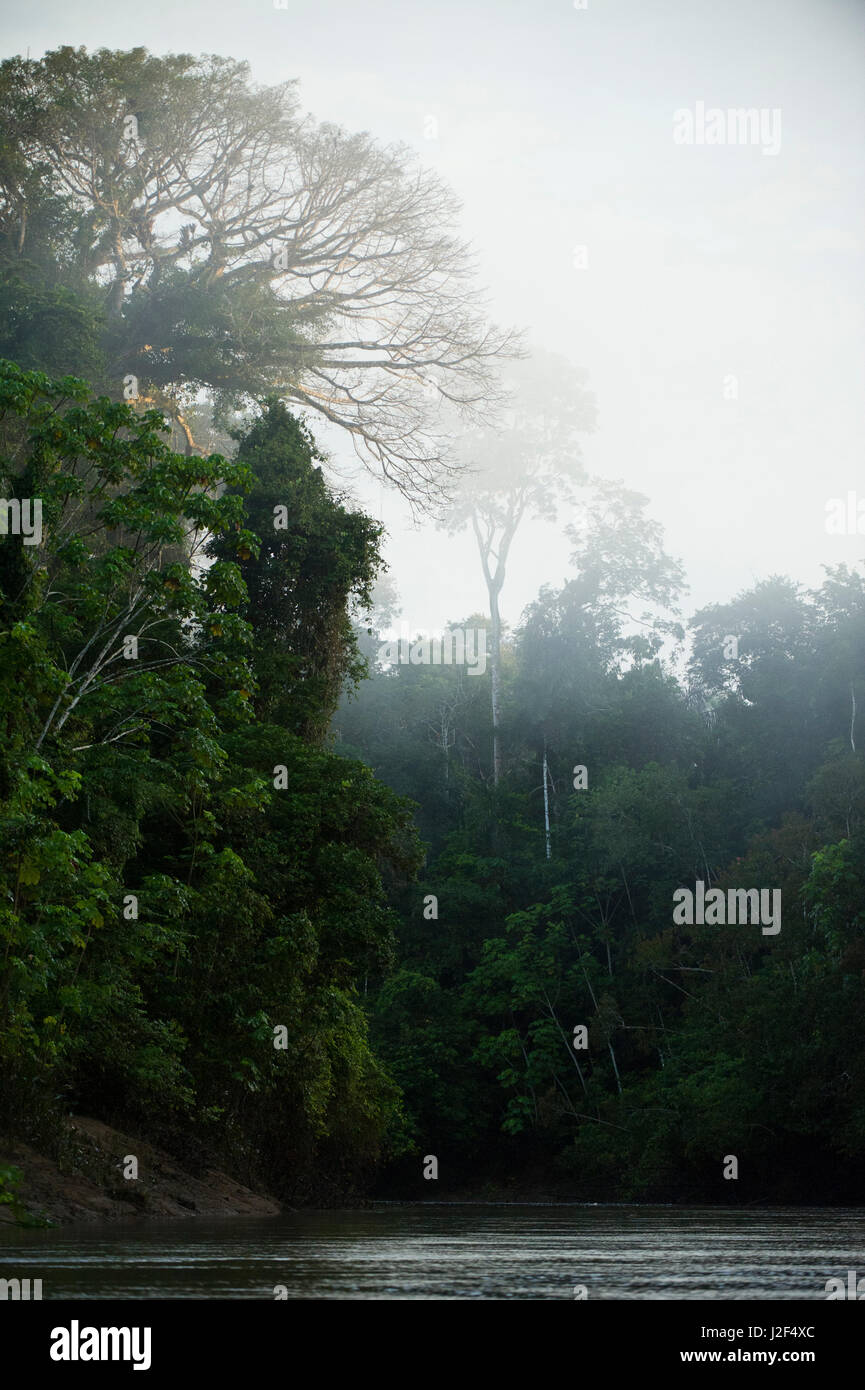 Tiputini River Scenic, Yasuni National Park, Amazon Rainforest, Ecuador ...