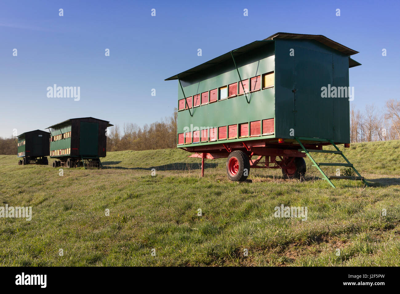 Movable bee hives in a row Stock Photo - Alamy