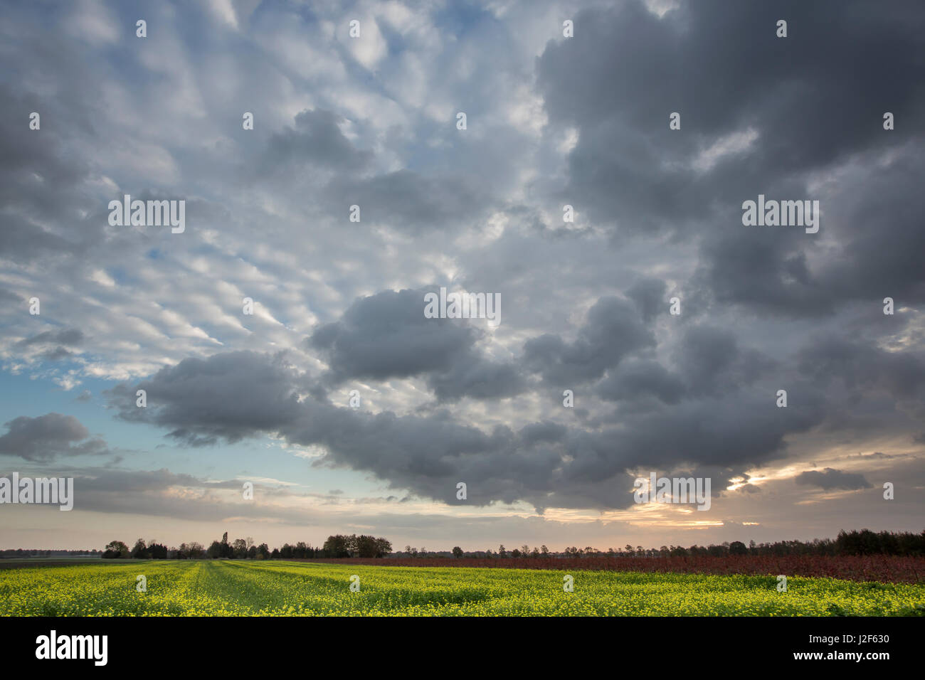 Cumulus and stratocumulus hi-res stock photography and images - Alamy