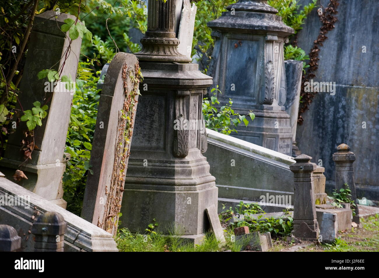 Overgrown graves in the cemetary of Ukkel, Brussels Stock Photo - Alamy