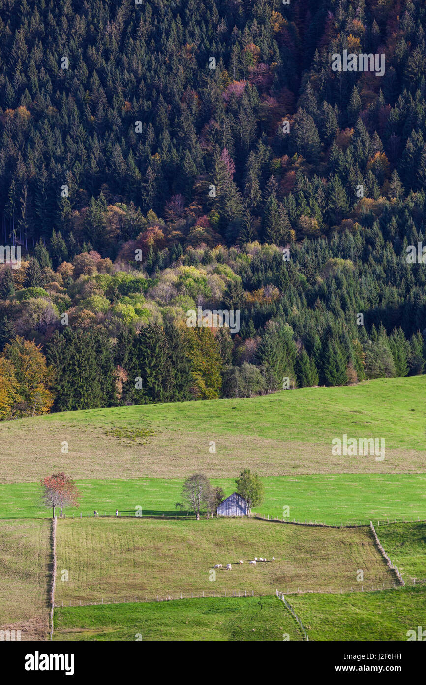 Germany bavaria alpine hi-res stock photography and images - Alamy