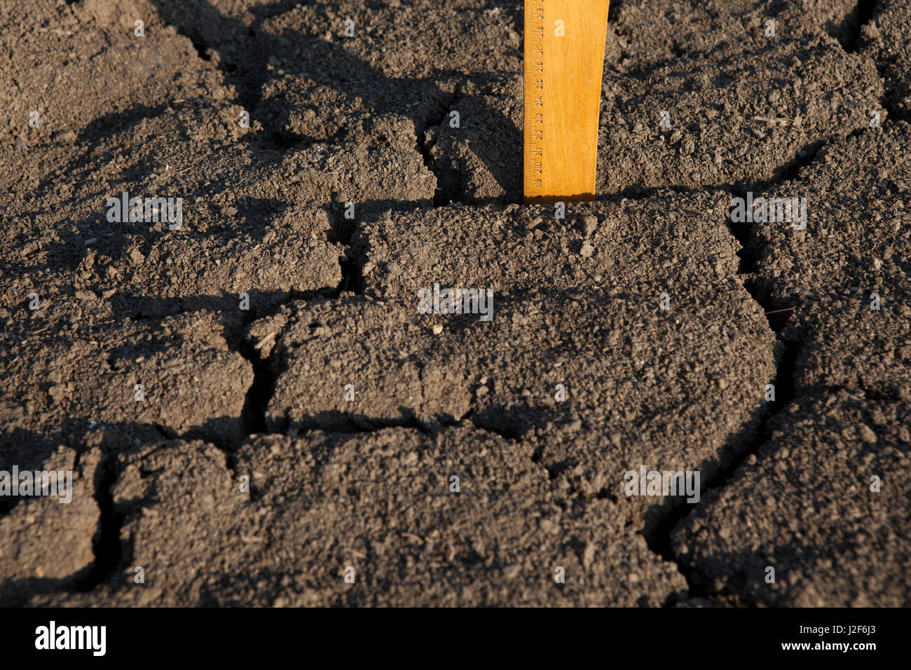 Deep cracks in the clay soil caused by drought Stock Photo - Alamy
