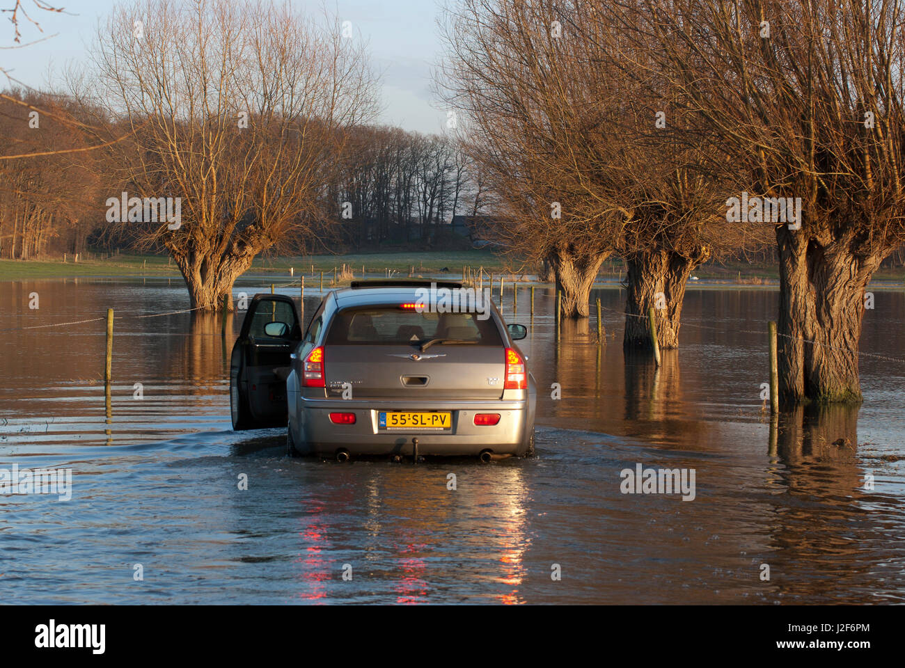 high water level in the floodplain of the river IJssel Stock Photo - Alamy