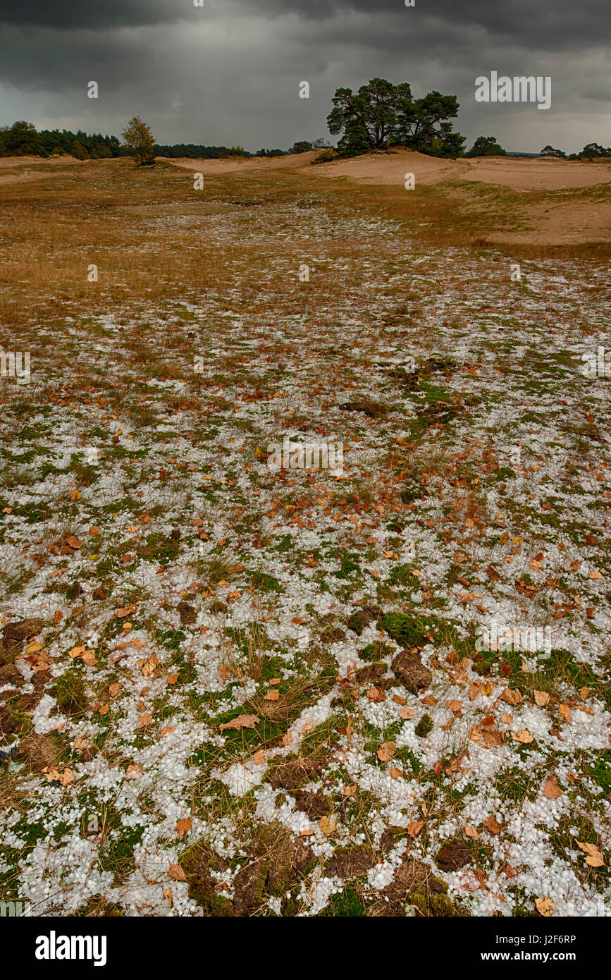 Hail stones hi-res stock photography and images - Alamy