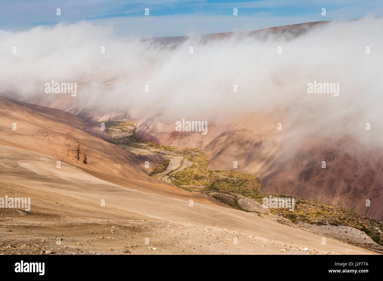 Atacama desert fog hi-res stock photography and images - Alamy