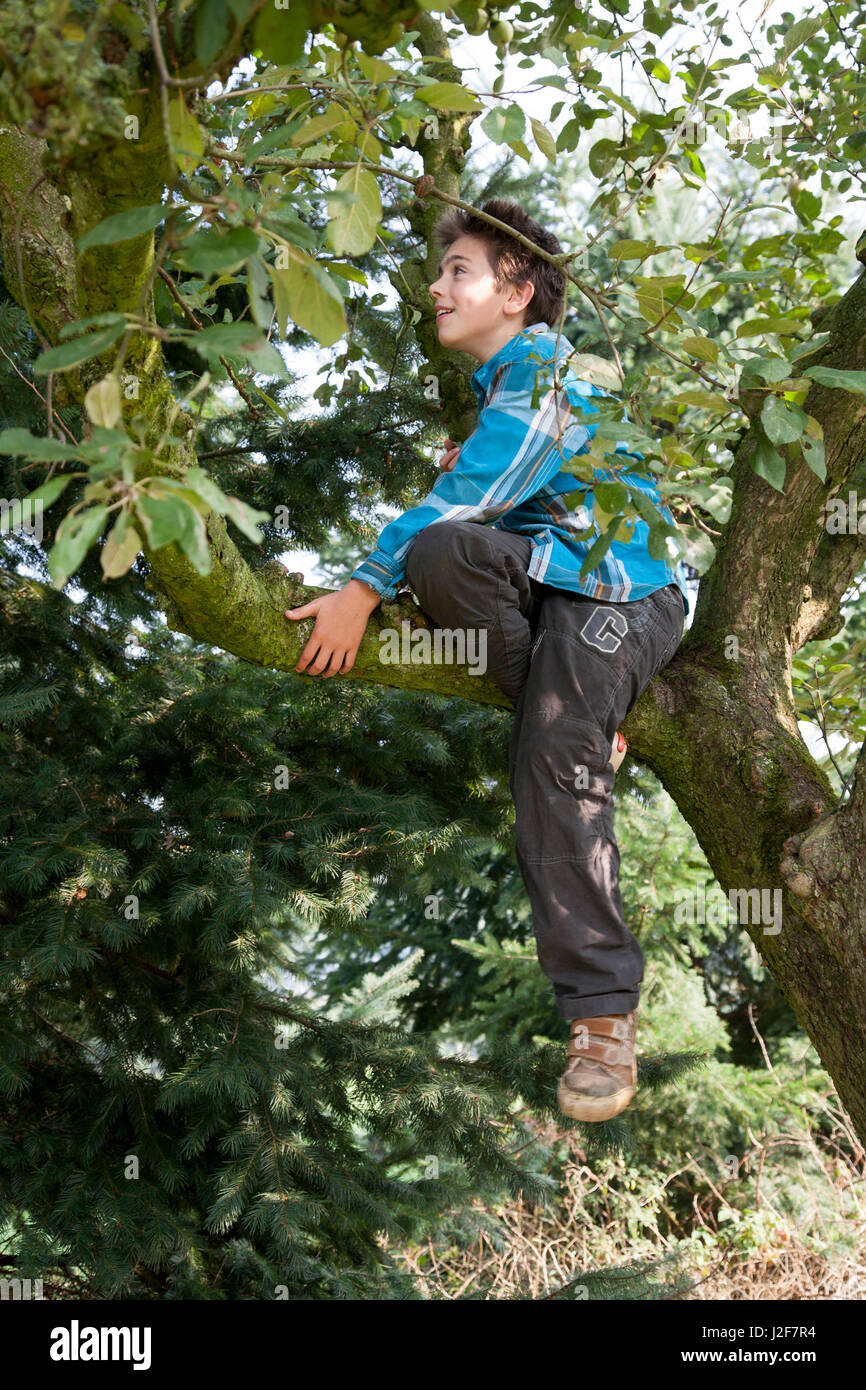 Boy in tree Stock Photo - Alamy