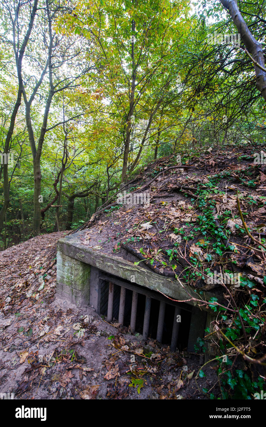 old bunker in a duneforest adapted for wintering bats Stock Photo - Alamy