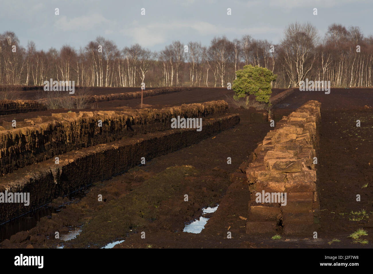 Peat digging hi-res stock photography and images - Alamy