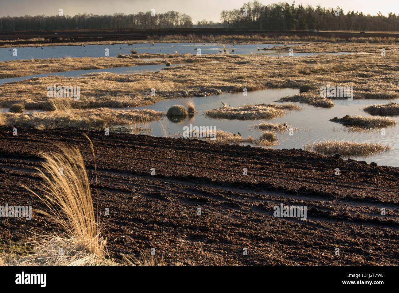 Raised bog peat hi-res stock photography and images - Alamy
