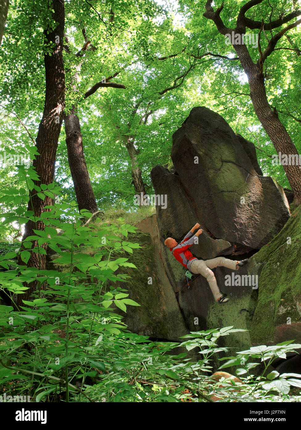 Rock climbing in the Eifel forest Stock Photo - Alamy