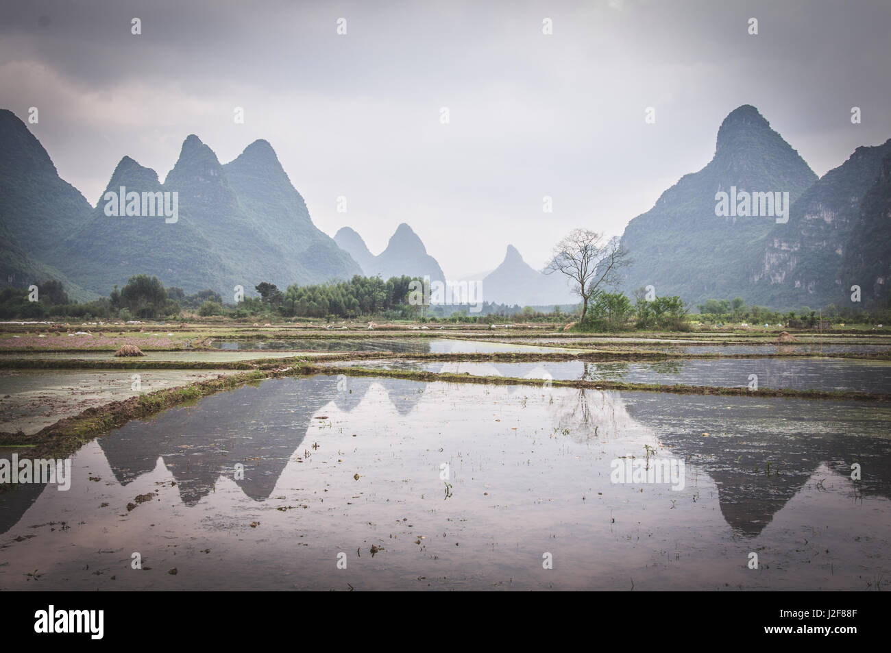 Beautiful spring scenery hi-res stock photography and images - Alamy