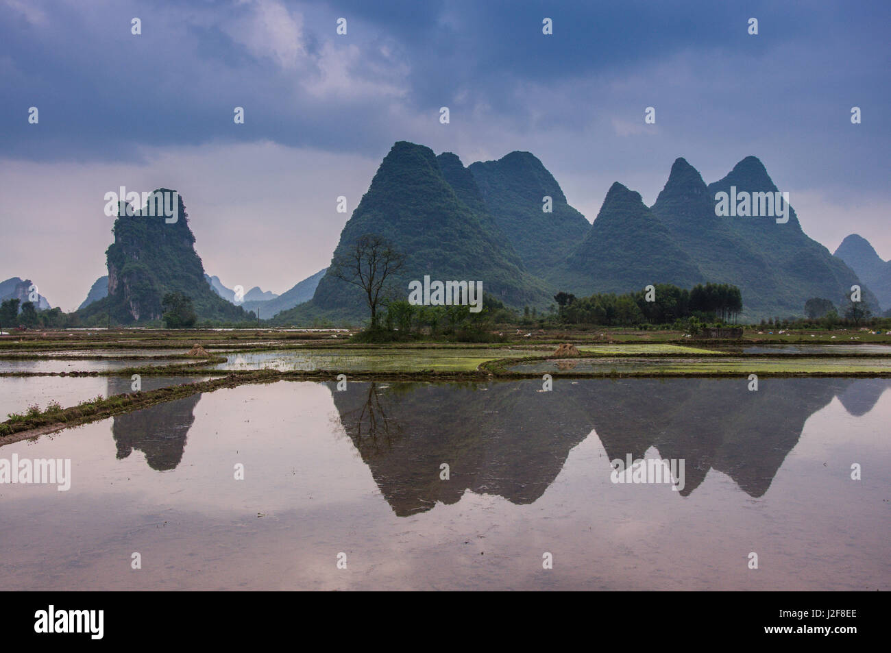 Beautiful spring scenic nature landscape hi-res stock photography and ...