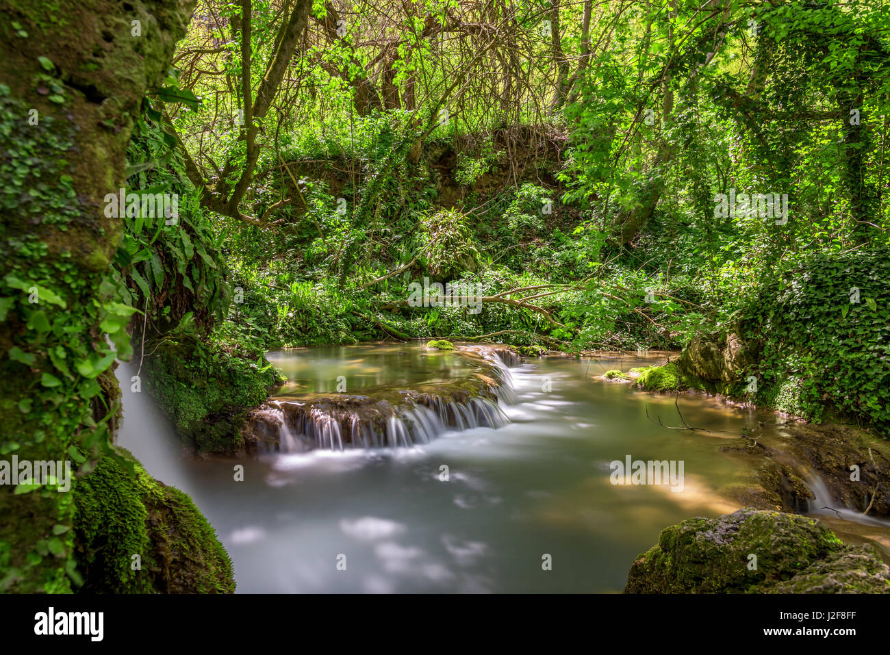 Krushuna waterfalls in bulgaria at spring Stock Photo - Alamy