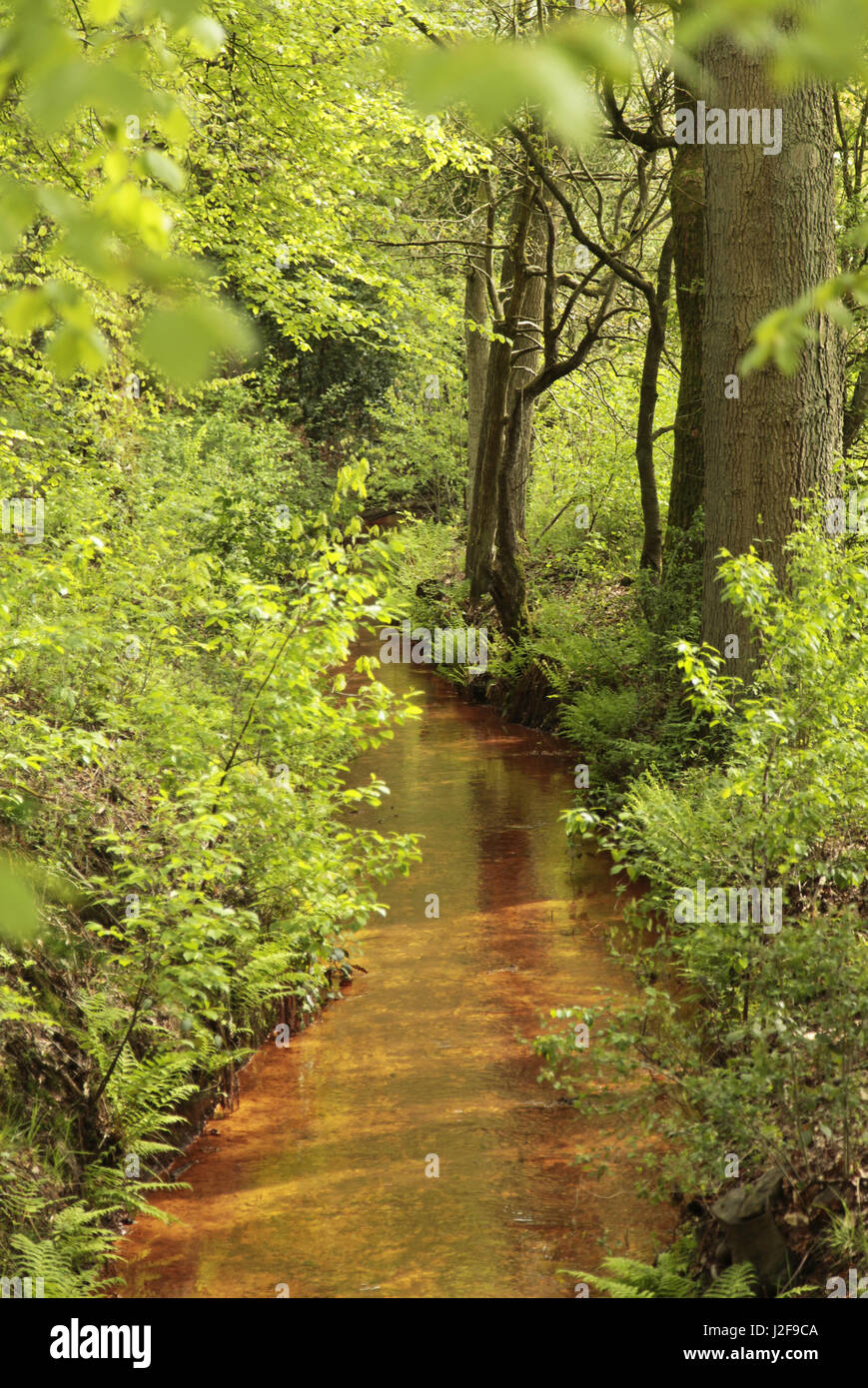 Brook spring hi-res stock photography and images - Alamy
