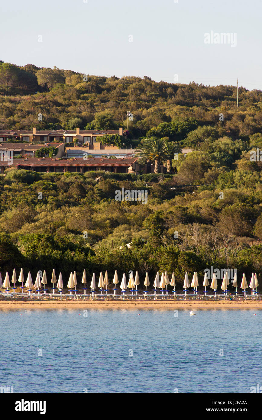 Italy, Sardinia, Porto Pollo. Morning light on beach umbrellas before ...